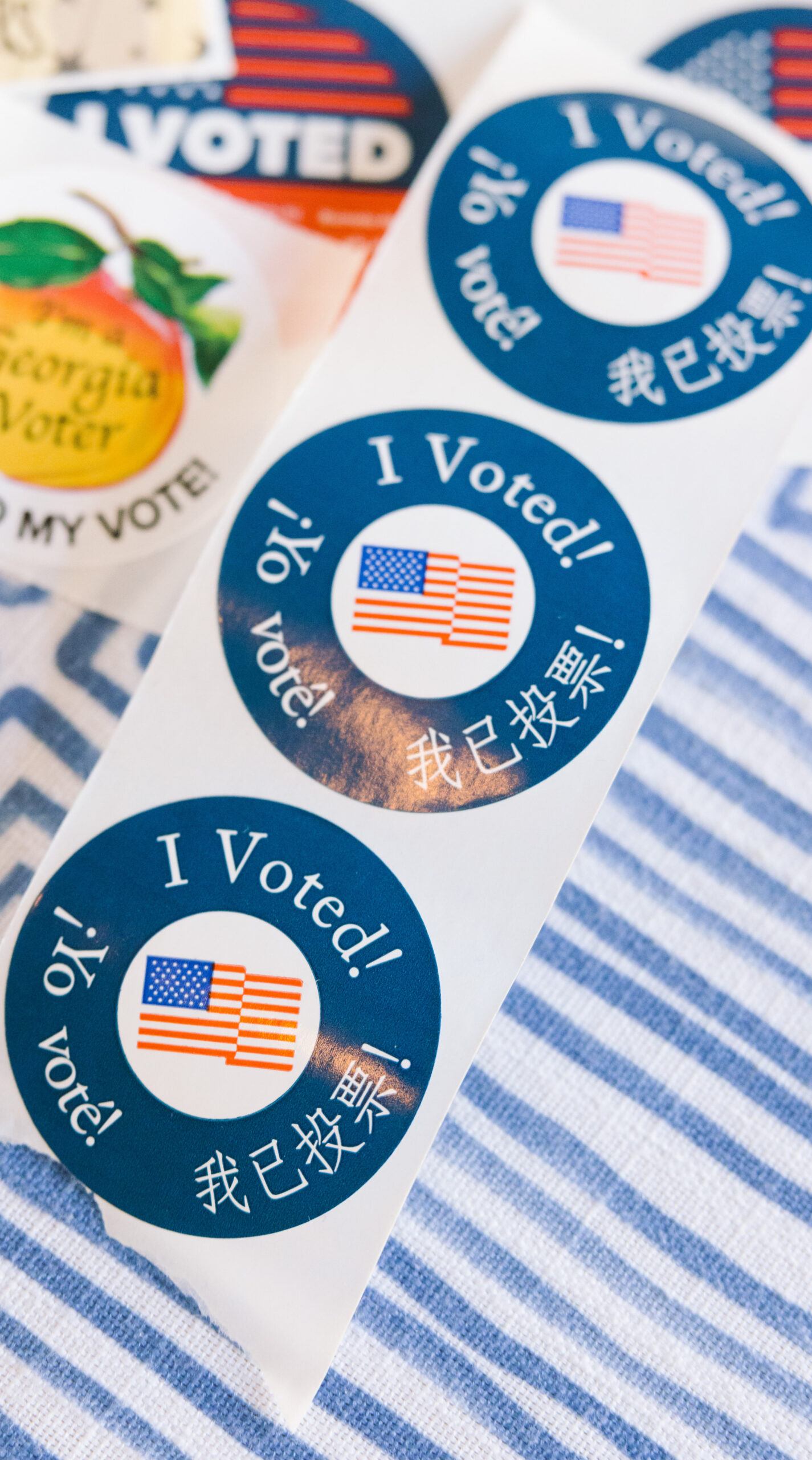 Language access - U.S. Alliance for Election Excellence