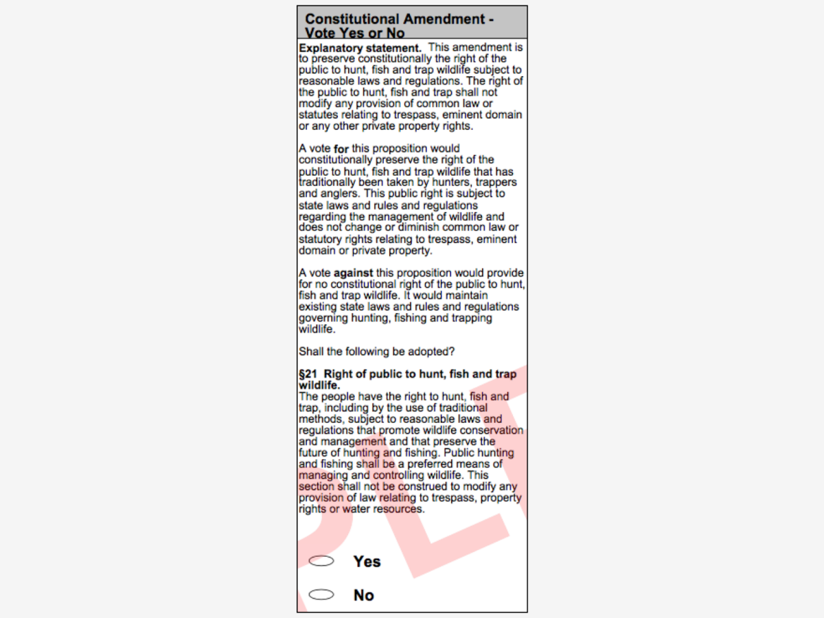 Voting Timer App - U.S. Alliance for Election Excellence