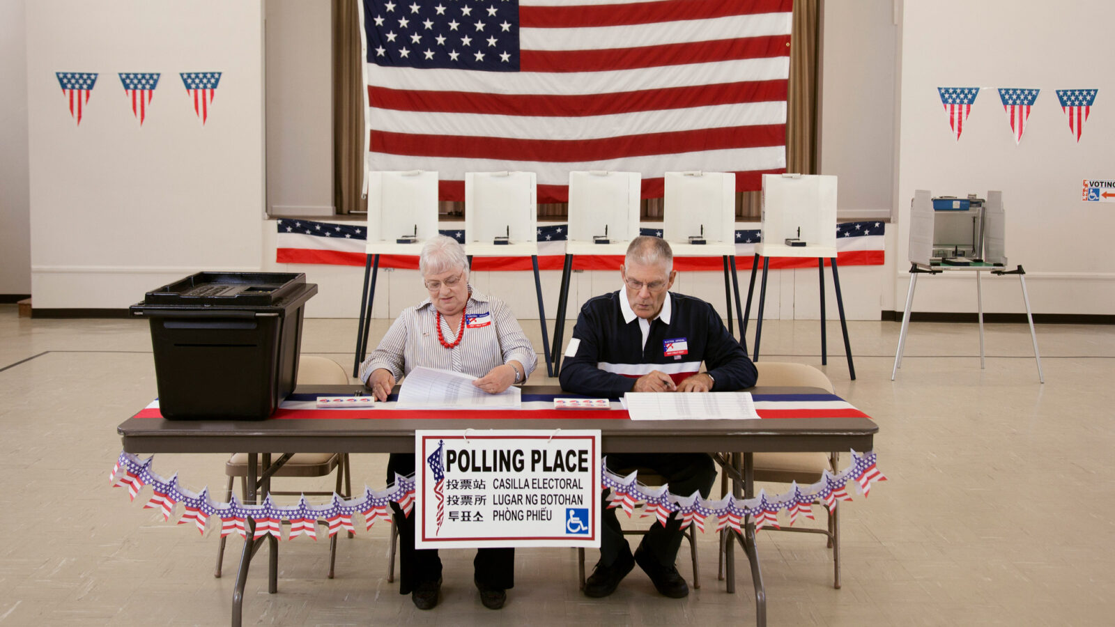 Home - U.S. Alliance for Election Excellence