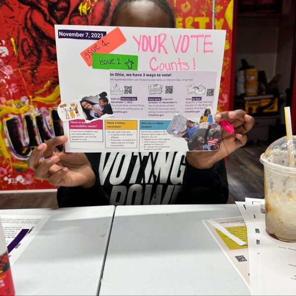 Toolkit for Designing Voter Education Materials - U.S. Alliance for ...